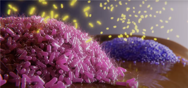 Recce Pharmaceuticals ASX RCE new R327G shows positive response in treatment of antibiotic resistant infections 2023 08 08 HotCopper