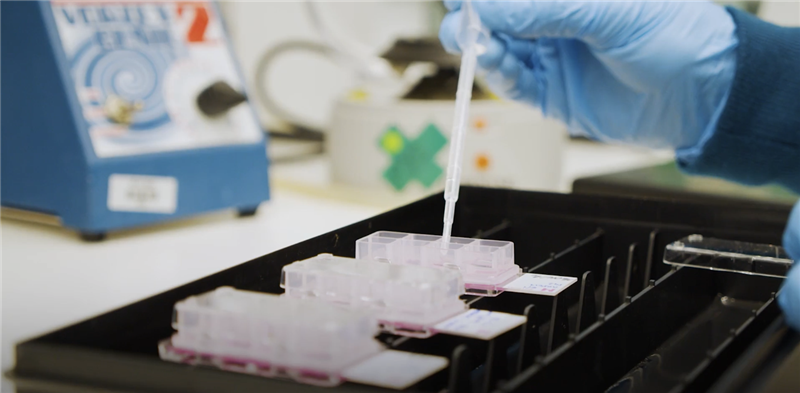 PYC Therapeutics (ASX:PYC) lands FDA clearance for first human trials ...