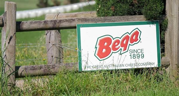 Take a big bite into HotCopper Hot Stock Bega Cheese and it's ...