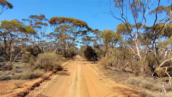 Larvotto Resources (ASX:LRV) concludes RC drilling at Eyre project, WA ...